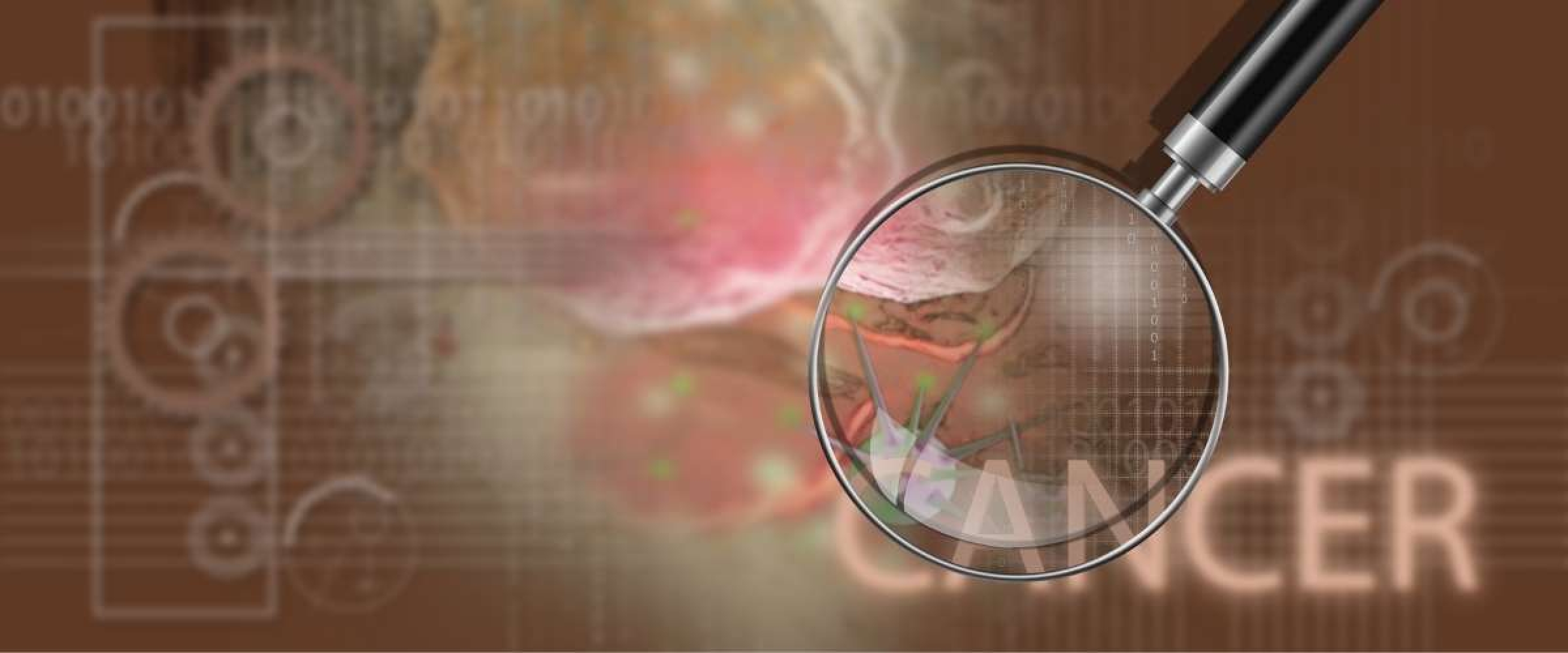 Cancer Screening: What to expect & How to do it right?